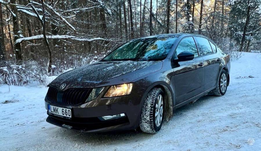 Brown Skoda Octavia 2020 in Vilnius, with an engine capacity of 1.50 L and mileage of 149 thousand km for 13900 €, photo 4 on AUTOMOTO.COM.LV