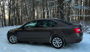 Brown Skoda Octavia 2020 in Vilnius, with an engine capacity of 1.50 L and mileage of 149 thousand km for 13900 €, photo 5 on AUTOMOTO.COM.LV