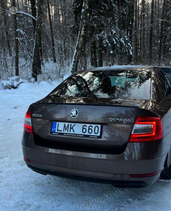 Brown Skoda Octavia 2020 in Vilnius, with an engine capacity of 1.50 L and mileage of 149 thousand km for 13900 €, photo 6 on AUTOMOTO.COM.LV