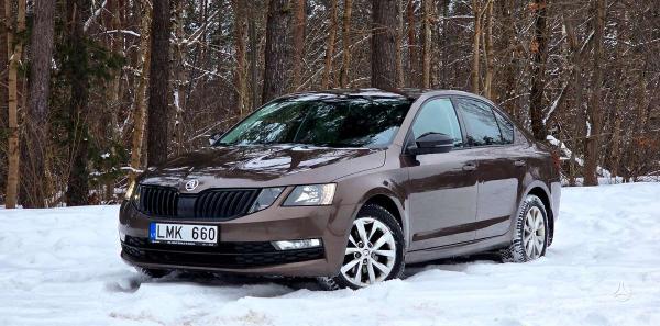 Brūns Skoda Octavia 2020 Viļņa, ar dzinēja tilpumu 1.50 L un nobraukumu 149 tūkst. km par 13500 €, foto 3 vietnē AUTOMOTO.COM.LV