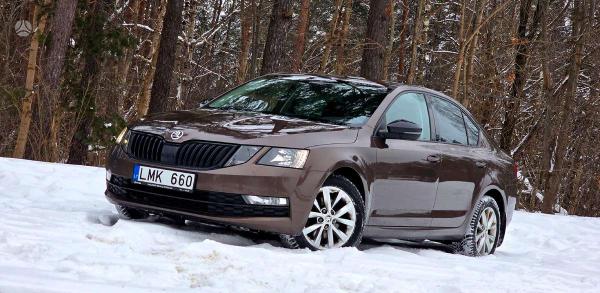 Brown Skoda Octavia 2020 in Vilnius, with an engine capacity of 1.50 L and mileage of 149 thousand km for 12990 €, photo 1 on AUTOMOTO.COM.LV