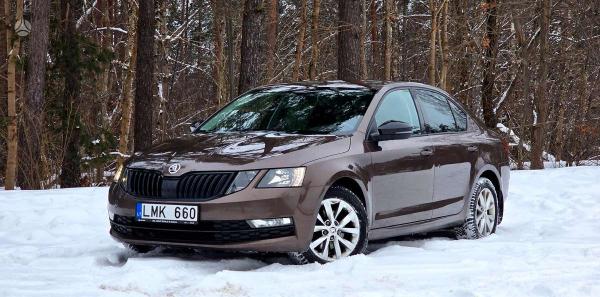 Brūns Skoda Octavia 2020 Viļņa, ar dzinēja tilpumu 1.50 L un nobraukumu 149 tūkst. km par 12990 €, foto 3 vietnē AUTOMOTO.COM.LV