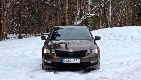 Brūns Skoda Octavia 2020 Viļņa, ar dzinēja tilpumu 1.50 L un nobraukumu 149 tūkst. km par 12990 €, foto 5 vietnē AUTOMOTO.COM.LV