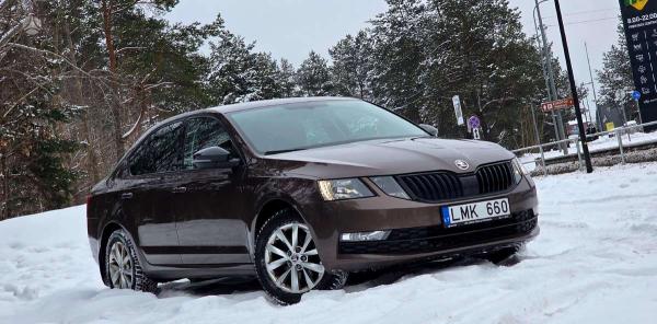 Brūns Skoda Octavia 2020 Viļņa, ar dzinēja tilpumu 1.50 L un nobraukumu 149 tūkst. km par 12990 €, foto 6 vietnē AUTOMOTO.COM.LV
