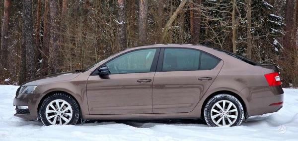 Brown Skoda Octavia 2020 in Vilnius, with an engine capacity of 1.50 L and mileage of 149 thousand km for 12990 €, photo 11 on AUTOMOTO.COM.LV