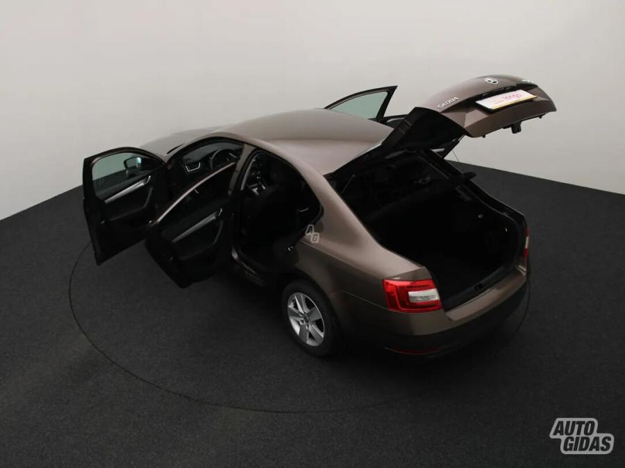 Brown Skoda Octavia 2018 in Vilnius, with an engine capacity of 1.60 L and mileage of 186 thousand km for 10199 €, photo 14 on AUTOMOTO.COM.LV