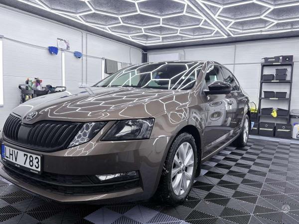 Brūns Skoda Octavia 2019 Viļņa, ar dzinēja tilpumu 1.50 L un nobraukumu 111 tūkst. km par 14399 €, foto 4 vietnē AUTOMOTO.COM.LV