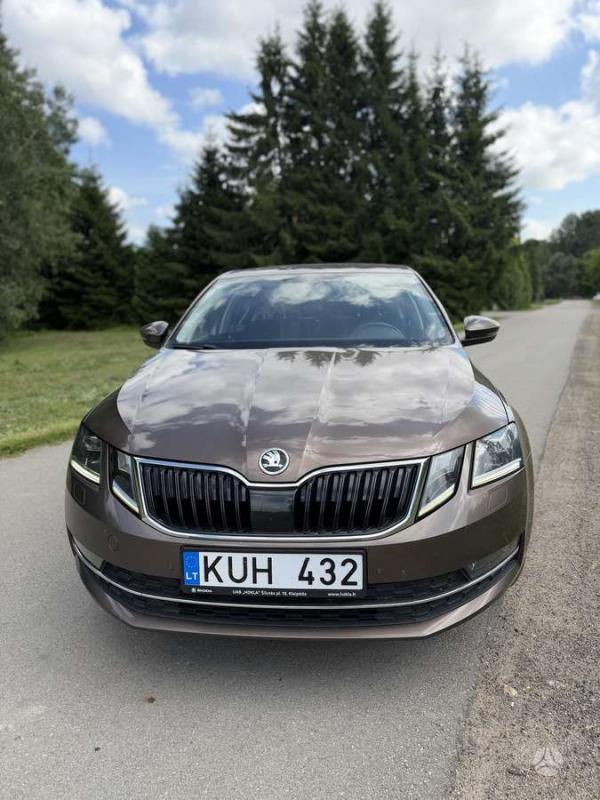 Brown Skoda Octavia 2019 in Silale, with an engine capacity of 1.60 L and mileage of 120 thousand km for 11000 €, photo 1 on AUTOMOTO.COM.LV