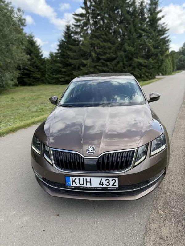 Brown Skoda Octavia 2019 in Silale, with an engine capacity of 1.60 L and mileage of 120 thousand km for 11000 €, photo 2 on AUTOMOTO.COM.LV
