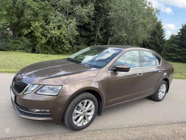 Brown Skoda Octavia 2019 in Silale, with an engine capacity of 1.60 L and mileage of 120 thousand km for 11000 €, photo 3 on AUTOMOTO.COM.LV
