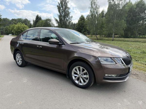 Brown Skoda Octavia 2019 in Silale, with an engine capacity of 1.60 L and mileage of 120 thousand km for 11000 €, photo 4 on AUTOMOTO.COM.LV