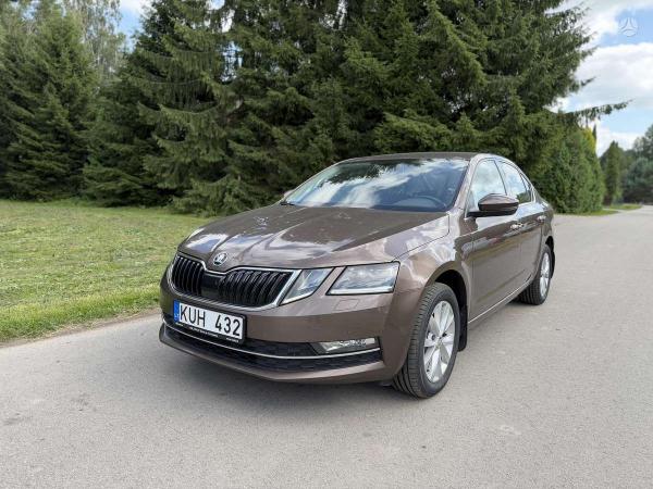 Brown Skoda Octavia 2019 in Silale, with an engine capacity of 1.60 L and mileage of 120 thousand km for 11000 €, photo 6 on AUTOMOTO.COM.LV