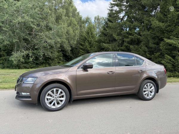 Brown Skoda Octavia 2019 in Silale, with an engine capacity of 1.60 L and mileage of 120 thousand km for 11000 €, photo 7 on AUTOMOTO.COM.LV