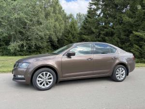 Brown Skoda Octavia 2019 in Silale, with an engine capacity of 1.60 L and mileage of 120 thousand km for 11000 €, photo 8 on AUTOMOTO.COM.LV
