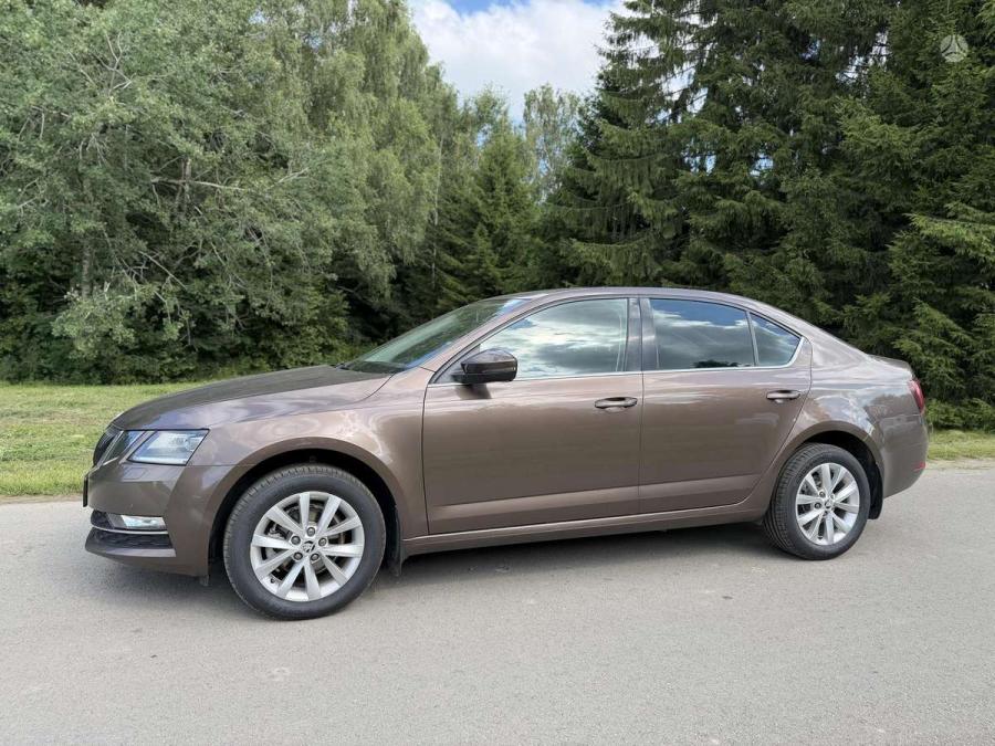 Brown Skoda Octavia 2019 in Silale, with an engine capacity of 1.60 L and mileage of 120 thousand km for 11000 €, photo 8 on AUTOMOTO.COM.LV