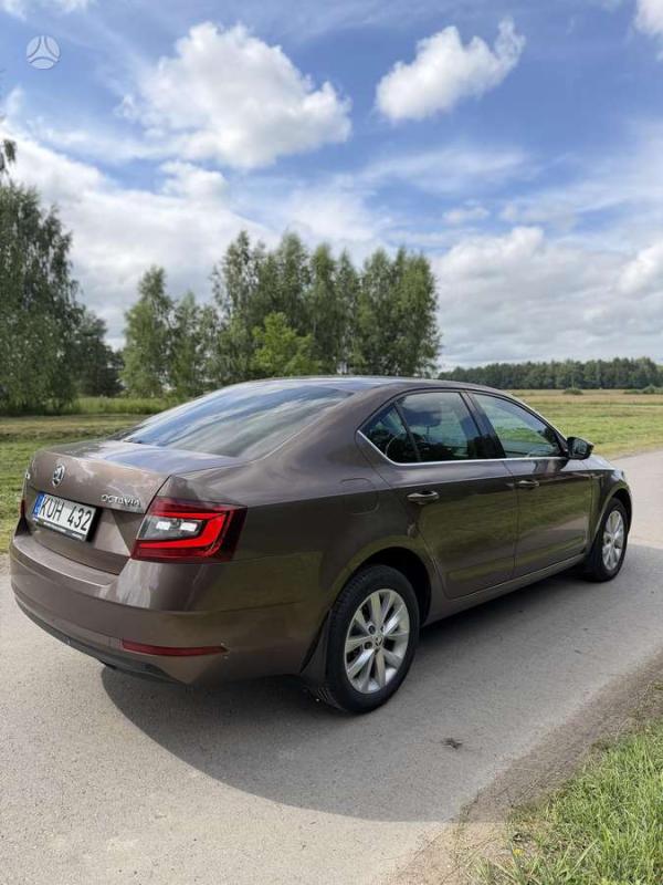 Brown Skoda Octavia 2019 in Silale, with an engine capacity of 1.60 L and mileage of 120 thousand km for 11000 €, photo 8 on AUTOMOTO.COM.LV