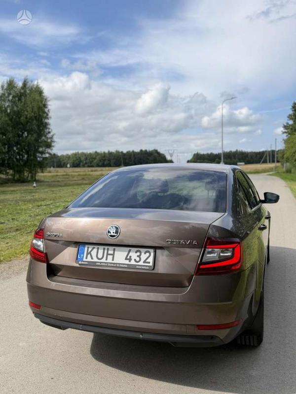 Brown Skoda Octavia 2019 in Silale, with an engine capacity of 1.60 L and mileage of 120 thousand km for 11000 €, photo 9 on AUTOMOTO.COM.LV