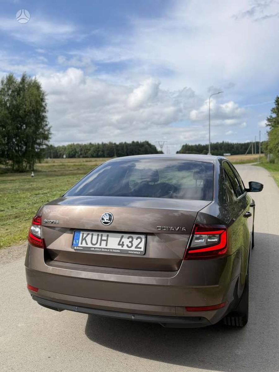 Brown Skoda Octavia 2019 in Silale, with an engine capacity of 1.60 L and mileage of 120 thousand km for 11000 €, photo 10 on AUTOMOTO.COM.LV