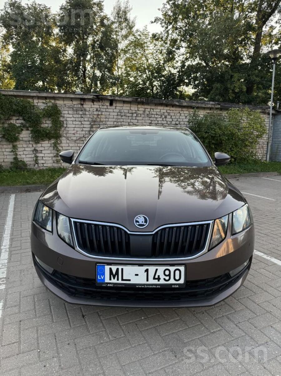 Brūns Skoda Octavia 2020 Jūrmala, ar dzinēja tilpumu 2.00 L un nobraukumu 193 tūkst. km par 7000 €, foto 3 vietnē AUTOMOTO.COM.LV