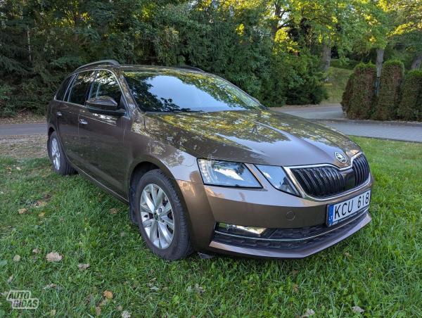 Brūns Skoda Octavia 2018 Viļņa, ar dzinēja tilpumu 1.80 L un nobraukumu 167 tūkst. km par 9000 €, foto 2 vietnē AUTOMOTO.COM.LV