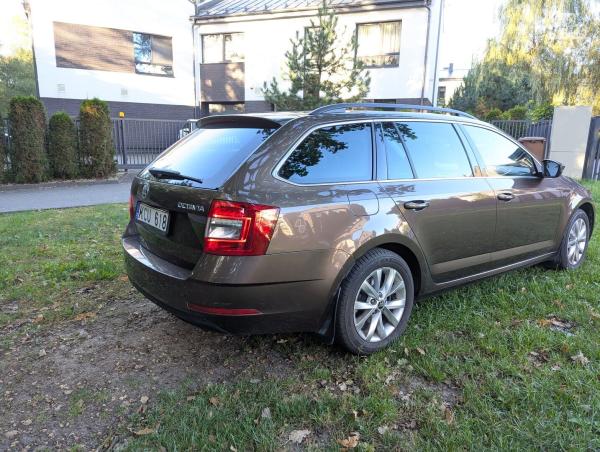 Brūns Skoda Octavia 2018 Viļņa, ar dzinēja tilpumu 1.80 L un nobraukumu 167 tūkst. km par 9000 €, foto 3 vietnē AUTOMOTO.COM.LV
