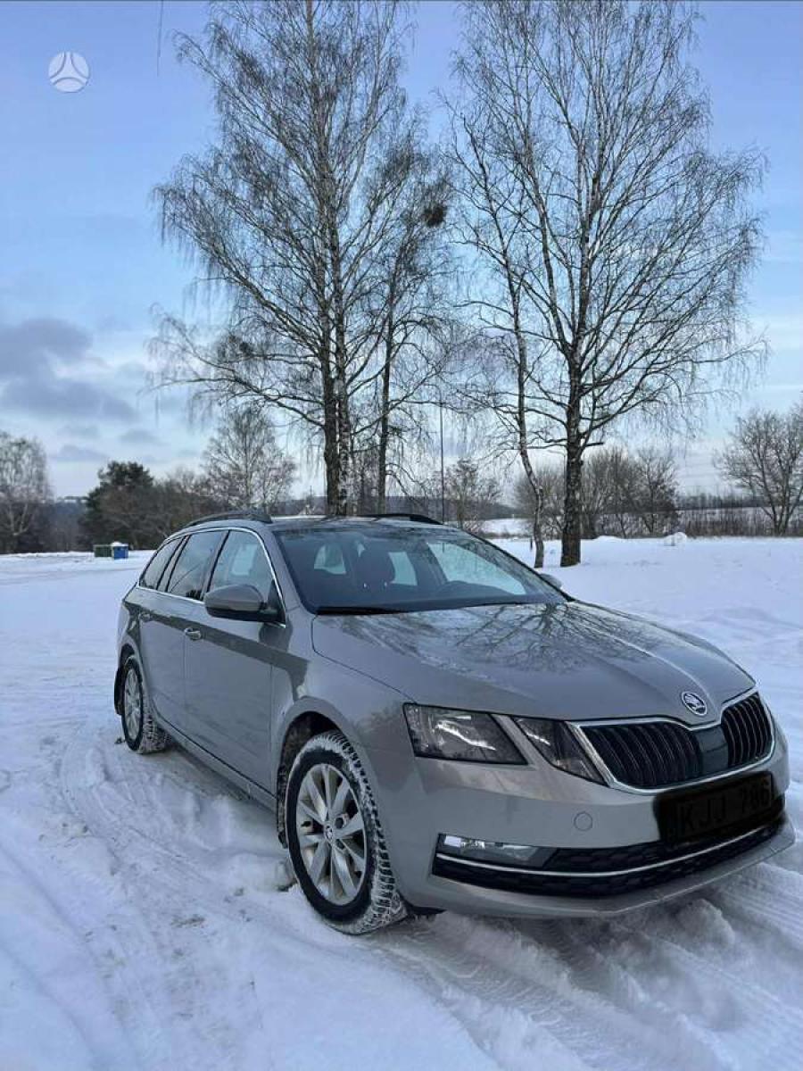 Brown Skoda Octavia 2018 in Kaunas, with an engine capacity of 1.60 L and mileage of 248 thousand km for 10500 €, photo 1 on AUTOMOTO.COM.LV