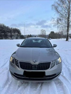Brown Skoda Octavia 2018 in Kaunas, with an engine capacity of 1.60 L and mileage of 248 thousand km for 10500 €, photo 2 on AUTOMOTO.COM.LV