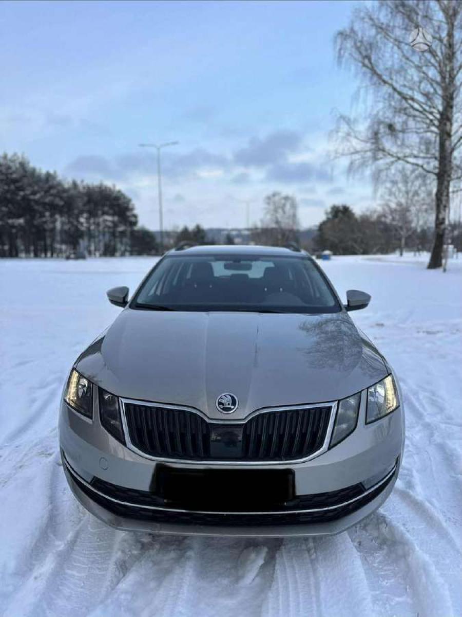 Brown Skoda Octavia 2018 in Kaunas, with an engine capacity of 1.60 L and mileage of 248 thousand km for 10500 €, photo 2 on AUTOMOTO.COM.LV