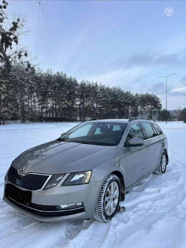 Brown Skoda Octavia 2018 in Kaunas, with an engine capacity of 1.60 L and mileage of 248 thousand km for 10500 €, photo 3 on AUTOMOTO.COM.LV