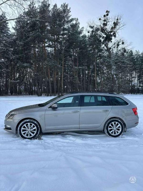 Brown Skoda Octavia 2018 in Kaunas, with an engine capacity of 1.60 L and mileage of 248 thousand km for 10500 €, photo 4 on AUTOMOTO.COM.LV
