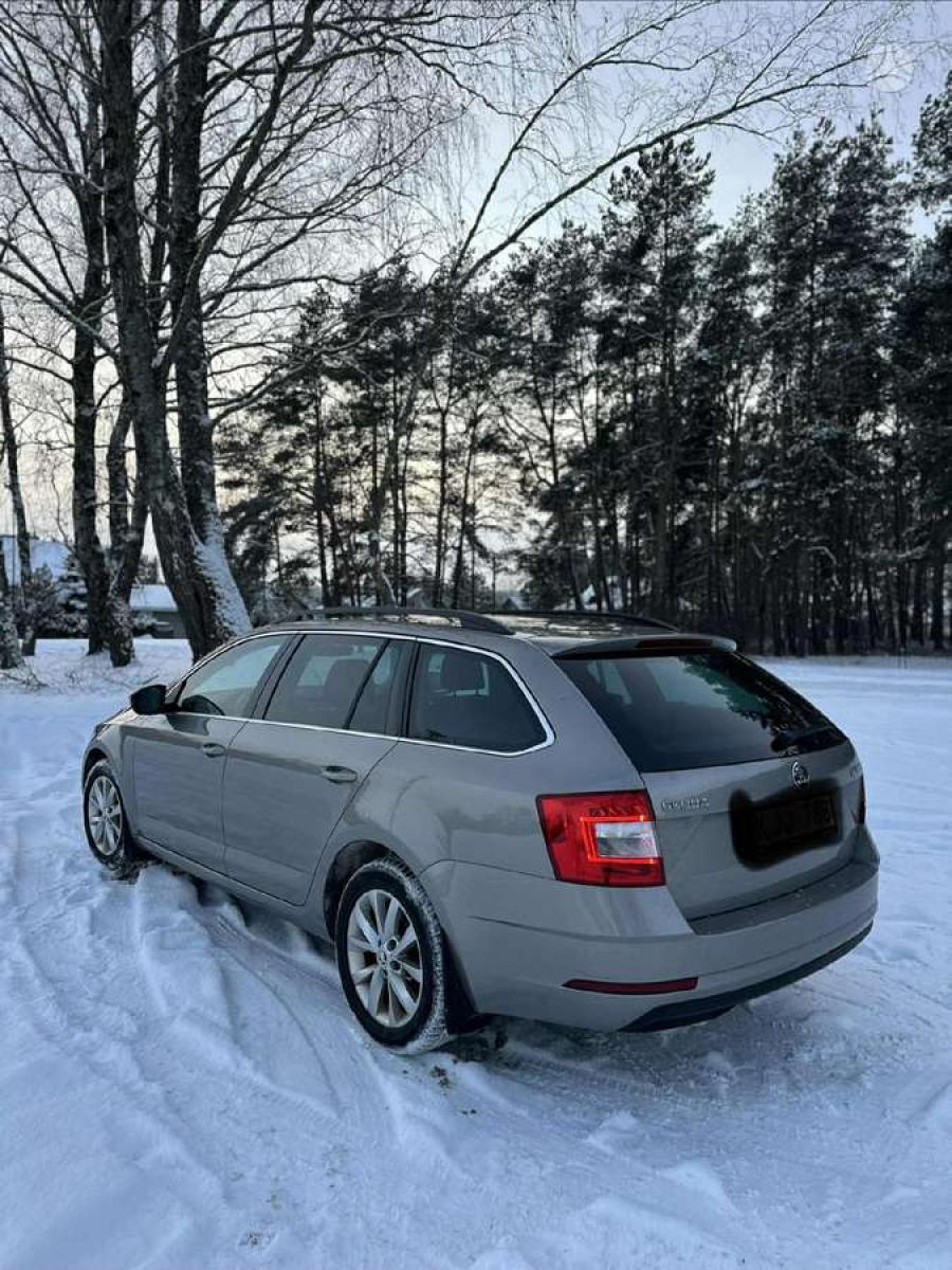 Brown Skoda Octavia 2018 in Kaunas, with an engine capacity of 1.60 L and mileage of 248 thousand km for 10500 €, photo 5 on AUTOMOTO.COM.LV