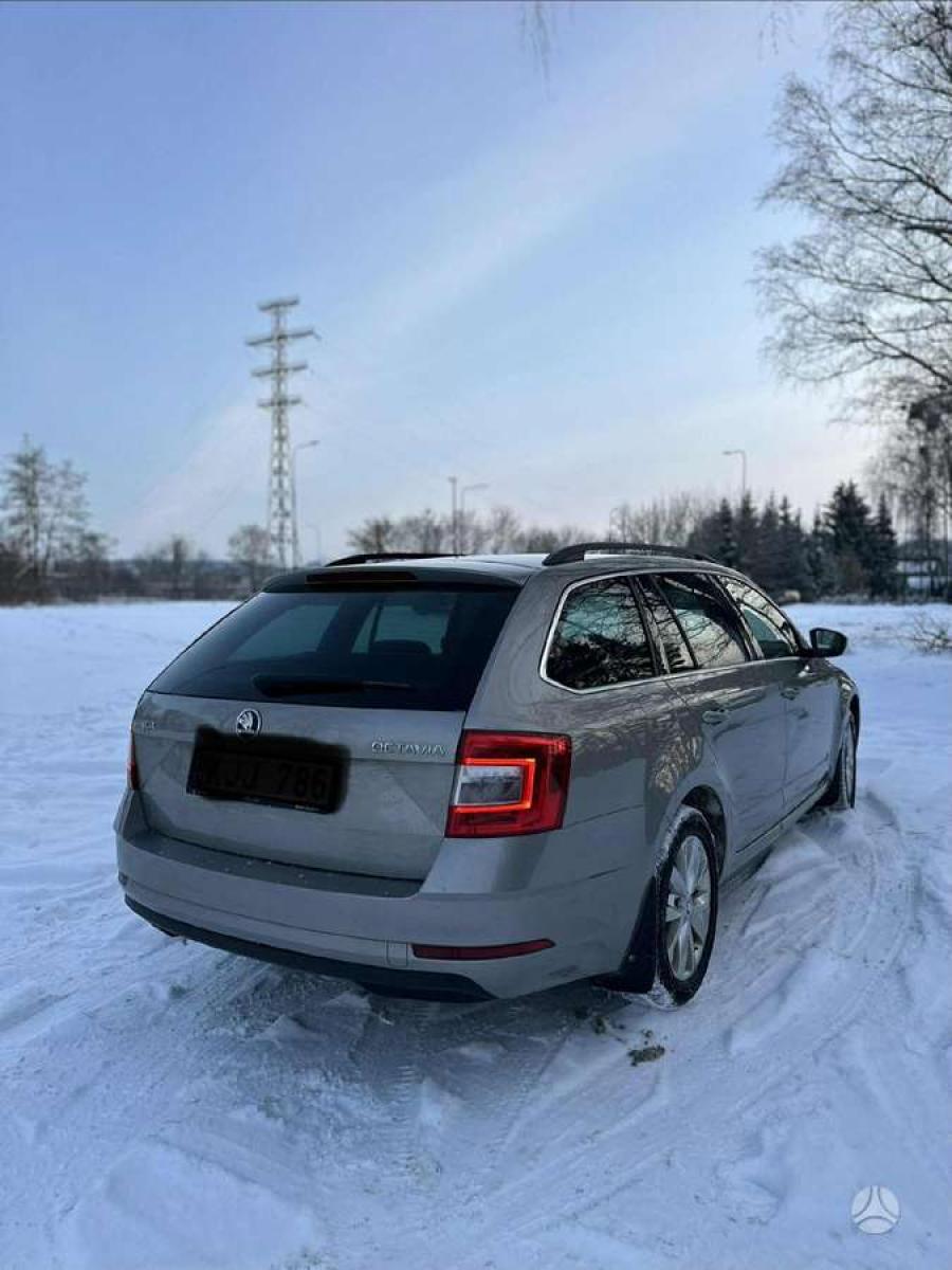 Brown Skoda Octavia 2018 in Kaunas, with an engine capacity of 1.60 L and mileage of 248 thousand km for 10500 €, photo 7 on AUTOMOTO.COM.LV