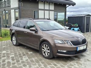 Brūns Skoda Octavia 2019 Rīga, ar dzinēja tilpumu 1.40 L un nobraukumu 179 tūkst. km par 9450 €, foto 3 vietnē AUTOMOTO.COM.LV