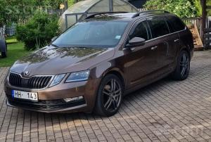 Brūns Skoda Octavia 2019 Rīga, ar dzinēja tilpumu 2.00 L un nobraukumu 141 tūkst. km par 10800 €, foto 3 vietnē AUTOMOTO.COM.LV