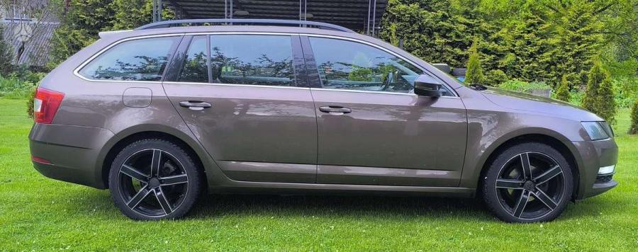 Brūns Skoda Octavia 2019 Viļņa, ar dzinēja tilpumu 1.60 L un nobraukumu 371 tūkst. km par 8000 €, foto 5 vietnē AUTOMOTO.COM.LV
