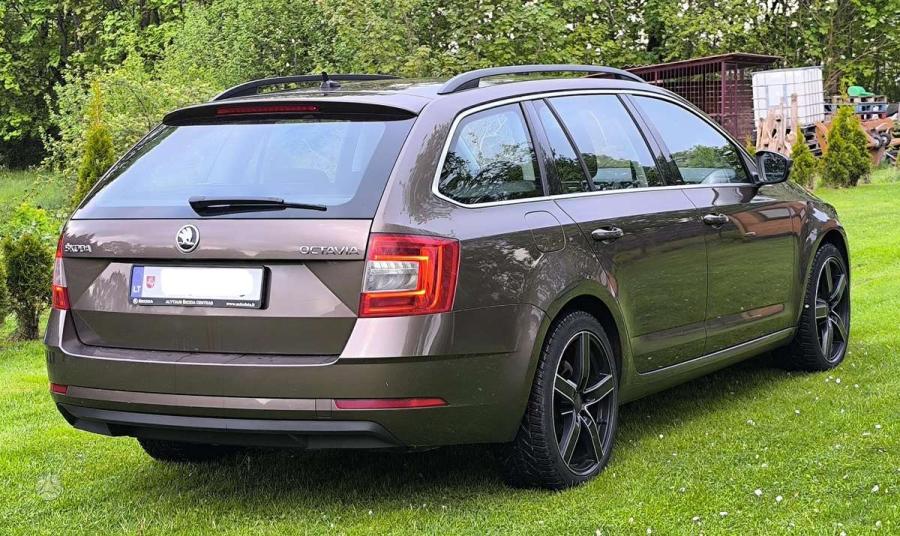 Brūns Skoda Octavia 2019 Viļņa, ar dzinēja tilpumu 1.60 L un nobraukumu 371 tūkst. km par 8000 €, foto 6 vietnē AUTOMOTO.COM.LV