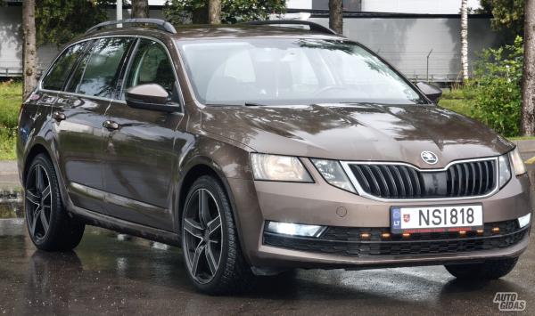 Brown Skoda Octavia 2019 in Vilnius, with an engine capacity of 1.60 L and mileage of 371 thousand km for 7899 €, photo 1 on AUTOMOTO.COM.LV