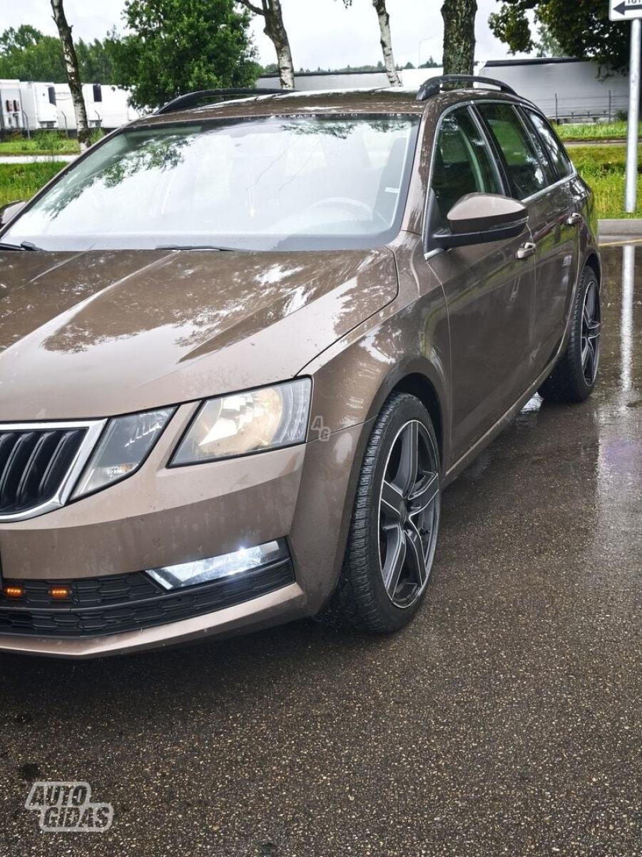 Brown Skoda Octavia 2019 in Vilnius, with an engine capacity of 1.60 L and mileage of 371 thousand km for 7950 €, photo 10 on AUTOMOTO.COM.LV