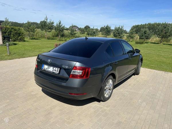 Skoda Octavia 2020 in Klaipeda on AUTOMOTO.COM.LV Green Skoda Octavia 2020 in Klaipeda, with an engine capacity of 1.50 L and mileage of 132 thousand km for 12399 €, photo 4 on AUTOMOTO.COM.LV