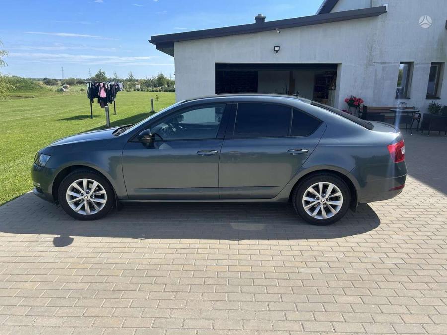 Green Skoda Octavia 2020 in Klaipeda, with an engine capacity of 1.50 L and mileage of 132 thousand km for 12399 €, photo 7 on AUTOMOTO.COM.LV