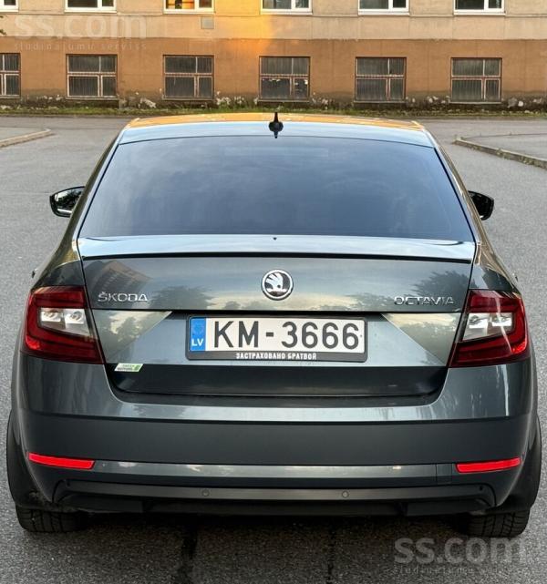 Green Skoda Octavia 2017 in Riga, with an engine capacity of 1.80 L and mileage of 0 thousand km for 9900 €, photo 6 on AUTOMOTO.COM.LV