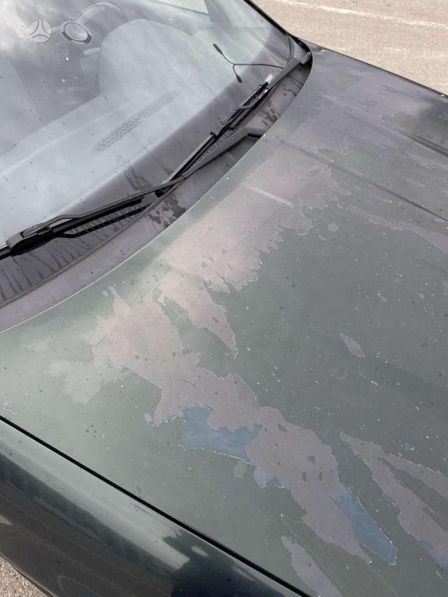 Zaļš Skoda Octavia 2005 Viļņa, ar dzinēja tilpumu 1.90 L un nobraukumu 303 tūkst. km par 960 €, foto 15 vietnē AUTOMOTO.COM.LV