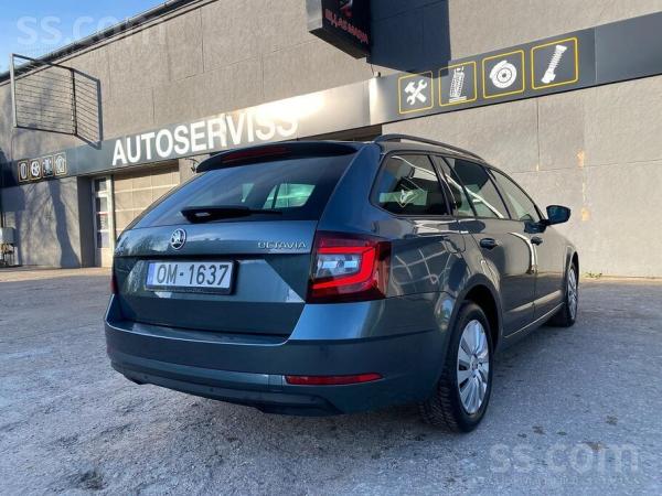 Zaļš Skoda Octavia 2017 Cēsis, ar dzinēja tilpumu 2.00 L un nobraukumu 0 tūkst. km par 8999 €, foto 6 vietnē AUTOMOTO.COM.LV