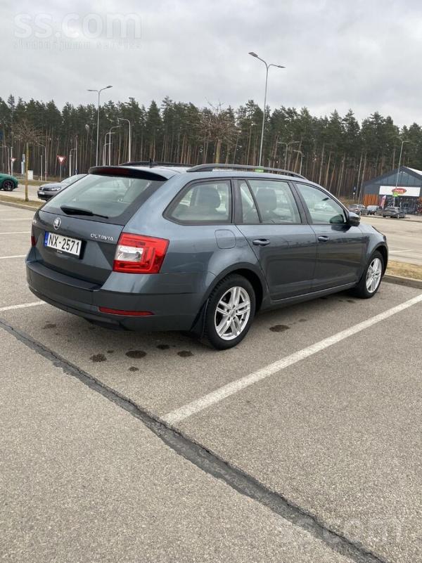 Zaļš Skoda Octavia 2018 Rīga, ar dzinēja tilpumu 1.60 L un nobraukumu 0 tūkst. km par 8650 €, foto 3 vietnē AUTOMOTO.COM.LV