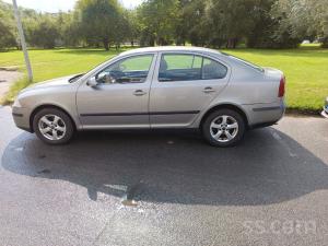 Pelēks Skoda Octavia 2007 Liepāja, ar dzinēja tilpumu 1.90 L un nobraukumu 246 tūkst. km par 2300 €, foto 6 vietnē AUTOMOTO.COM.LV