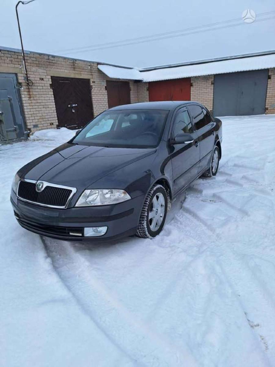 Grey Skoda Octavia 2008 in Pasvalys, with an engine capacity of 1.90 L and mileage of 289 thousand km for 4300 €, photo 2 on AUTOMOTO.COM.LV