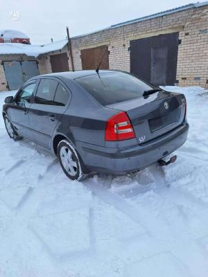 Grey Skoda Octavia 2008 in Pasvalys, with an engine capacity of 1.90 L and mileage of 289 thousand km for 4300 €, photo 6 on AUTOMOTO.COM.LV