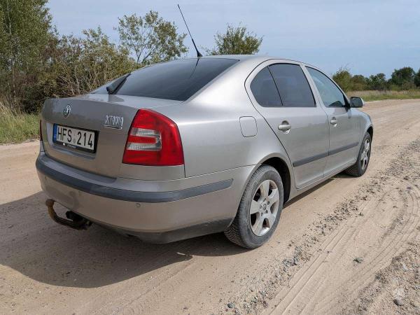 Grey Skoda Octavia 2008 in Vilnius, with an engine capacity of 1.90 L and mileage of 248 thousand km for 1700 €, photo 11 on AUTOMOTO.COM.LV