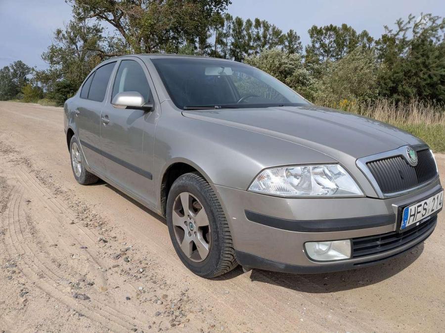 Grey Skoda Octavia 2008 in Vilnius, with an engine capacity of 1.90 L and mileage of 248 thousand km for 1700 €, photo 12 on AUTOMOTO.COM.LV