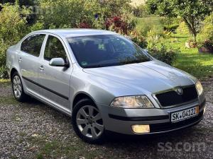 Серый Шкода Октавия 2008 в Рига, объемом двигателя 1.90 л и пробегом 350 тыс. км за 2900 €, фото 36 на AUTOMOTO.COM.LV